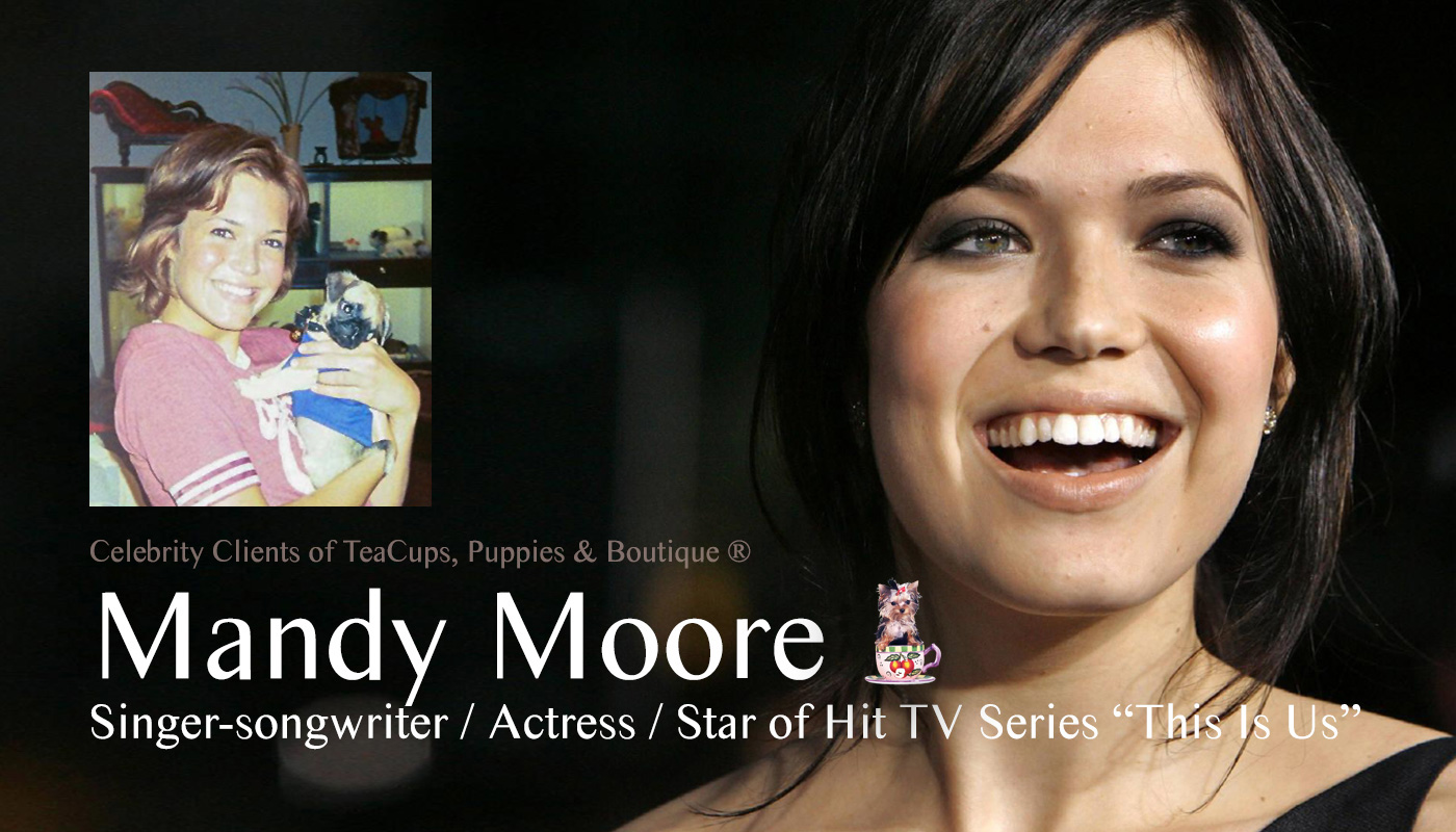 mandy-moore-teacups-puppies-celebrity-clients-dogs-2 | Teacup Puppies ...