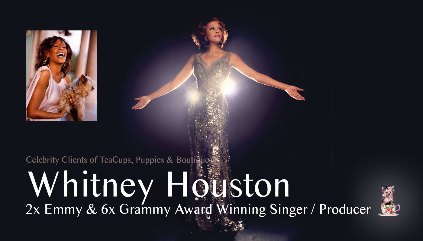whitney-houston-yorkie-teacups-puppies-celebrity-clients-dogs | Teacup ...