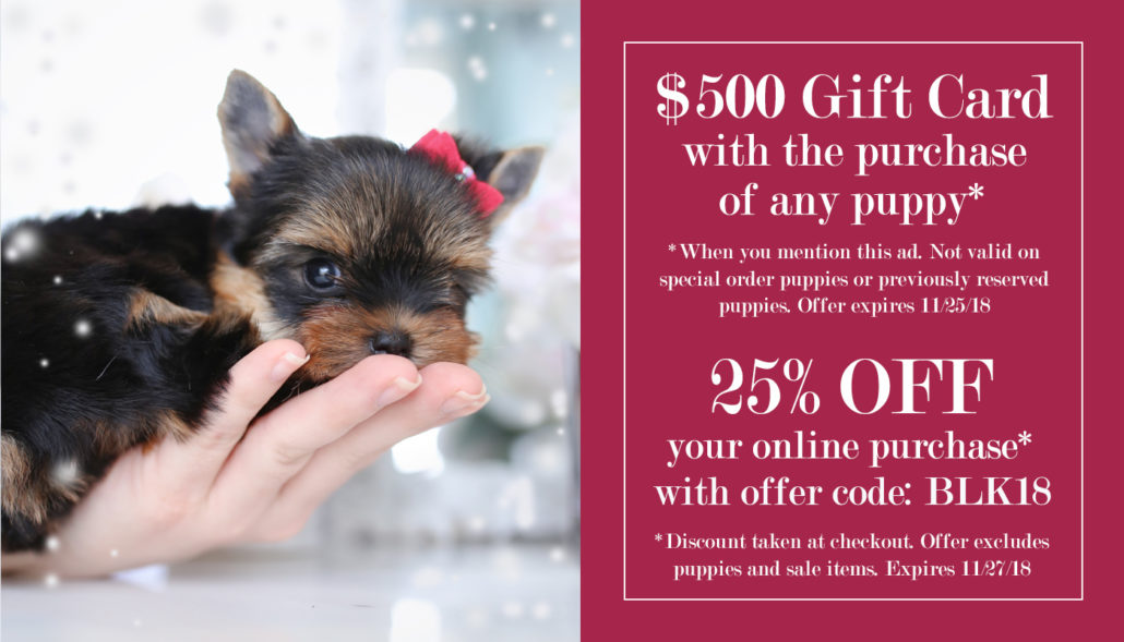 black-friday-web-banner | Teacup Puppies & Boutique